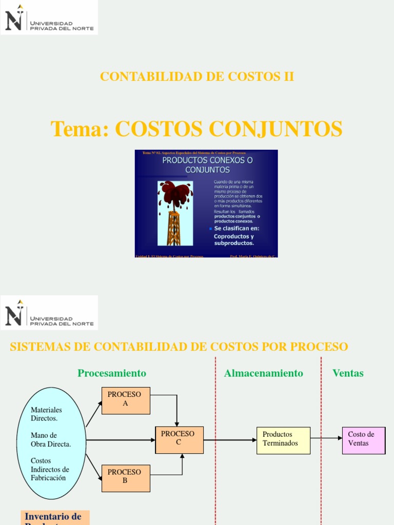 Tema Costos Conjuntos | Descargar gratis PDF | Costo | Producción y fabricación