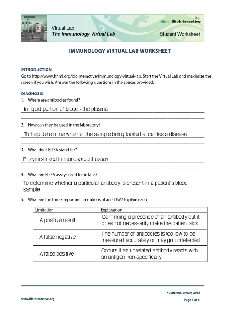 Immunology Virtual Lab Worksheet | PDF | Elisa | Immunology
