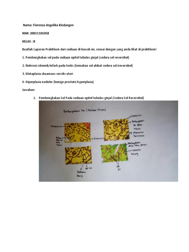 Praktikum 1 PA | PDF