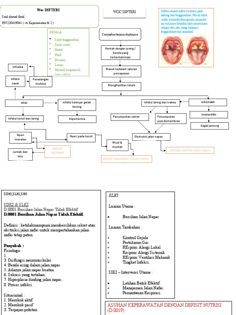 Said Ahmad Farid WOC DIFTERI | PDF