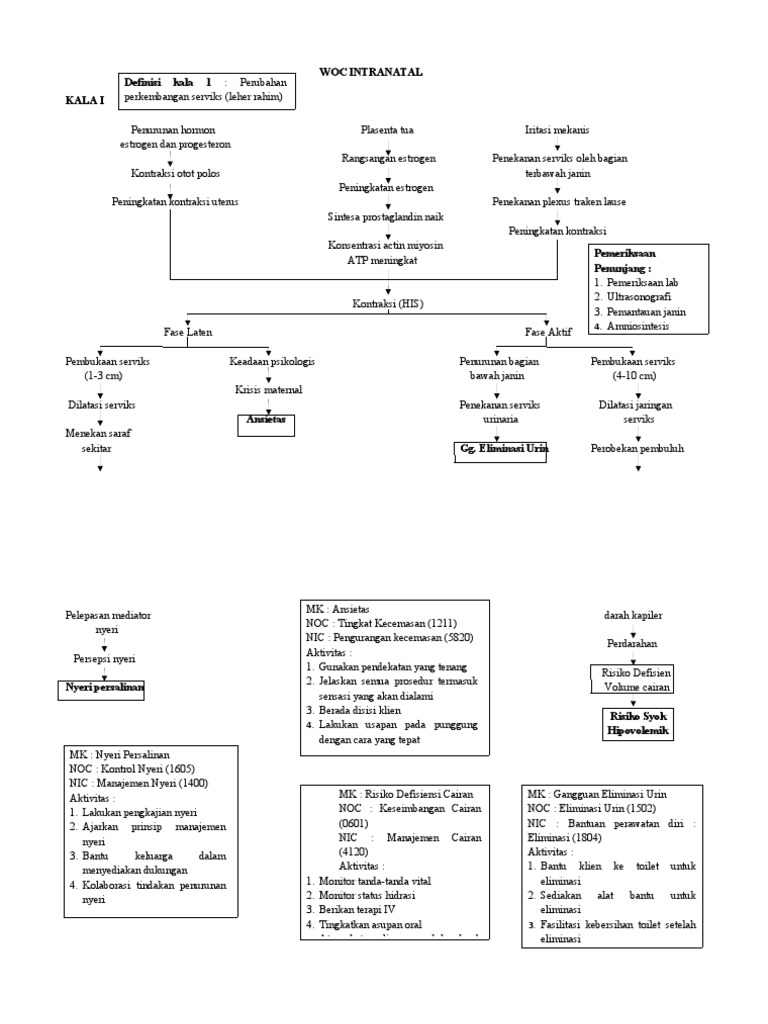 Woc Intranatal | PDF