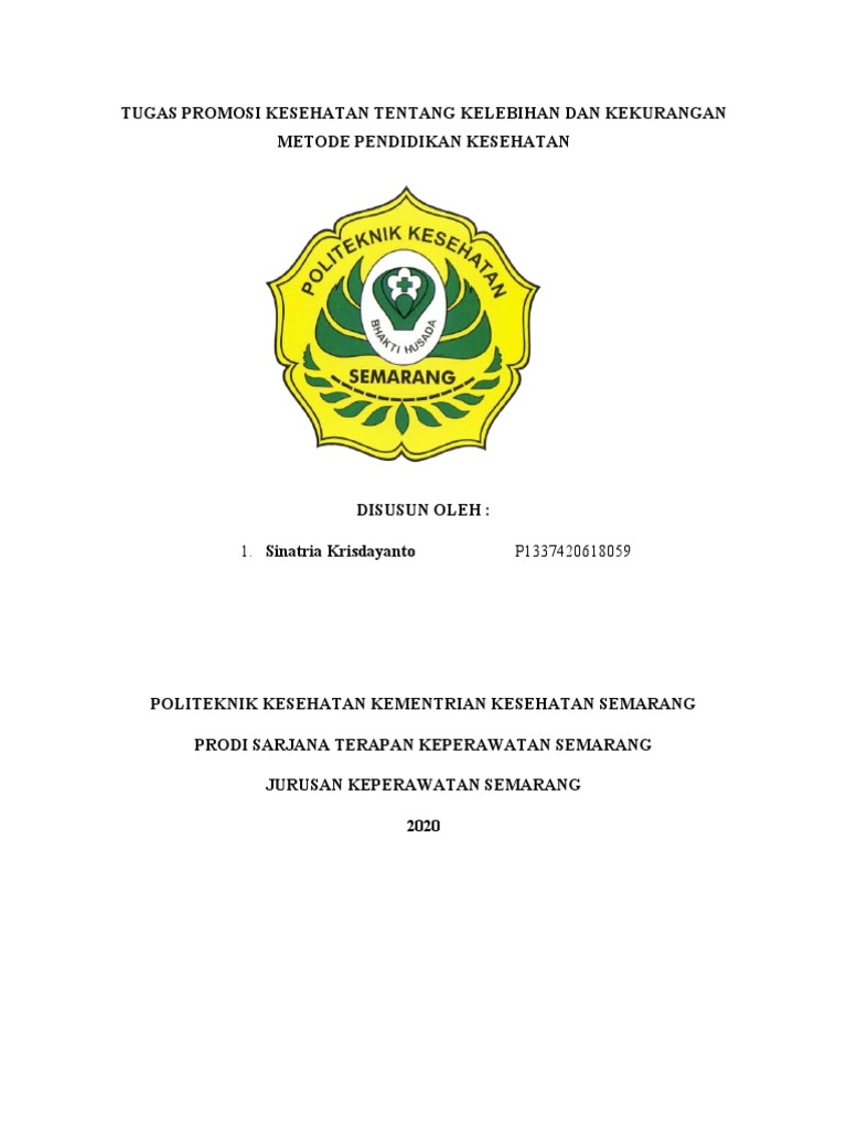 Kelebihan Dan Kekurangan Metode Promkes | PDF