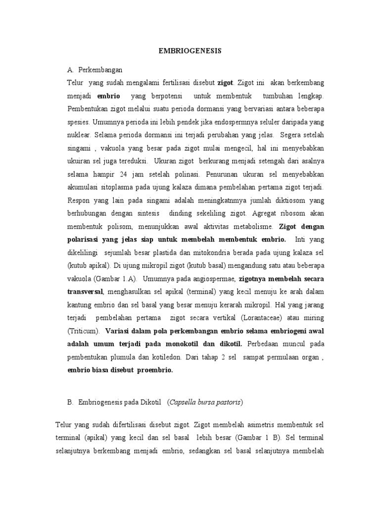 Proses Embriogenesis Tumbuhan | PDF