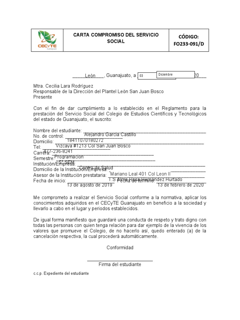 Carta Compromiso de S.S. - C | PDF | Finanzas y dinero | Ciencias sociales