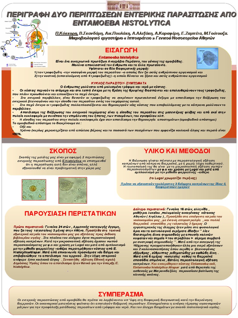 Poster Amoibada | PDF
