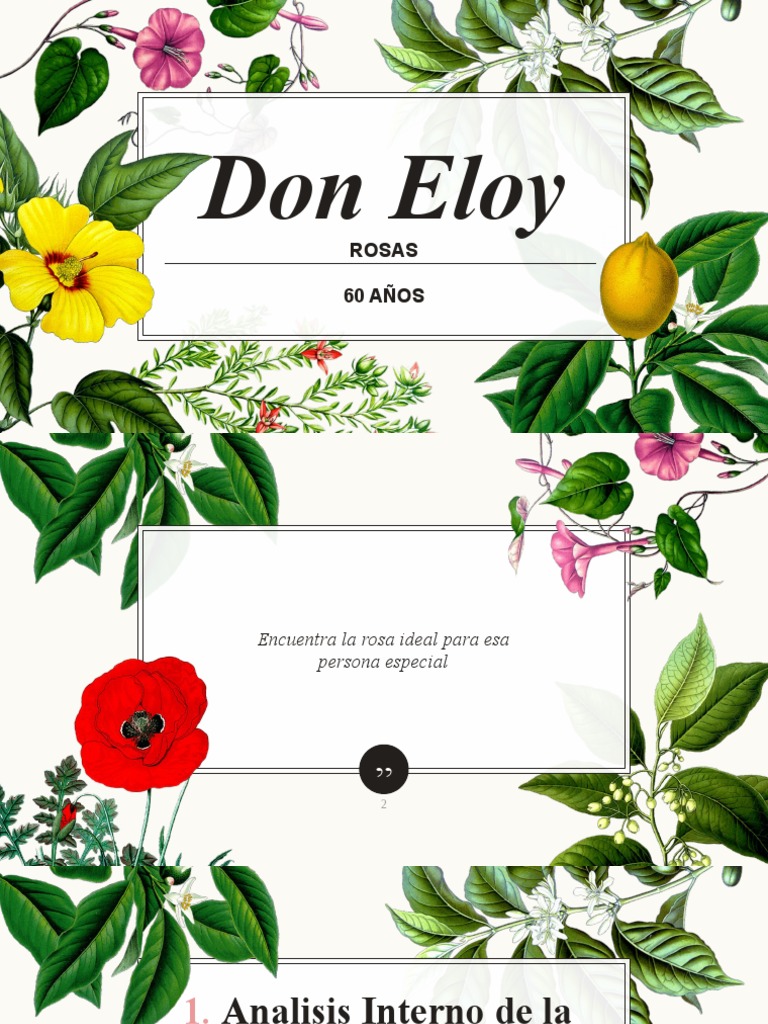 Trabajo Final Don Eloy Rosas (X) | PDF | Franquiciamiento | Producto (Negocio)