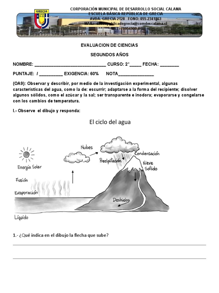Evaluación del Ciclo del Agua 2° Básico | PDF | El ciclo del agua | Agua