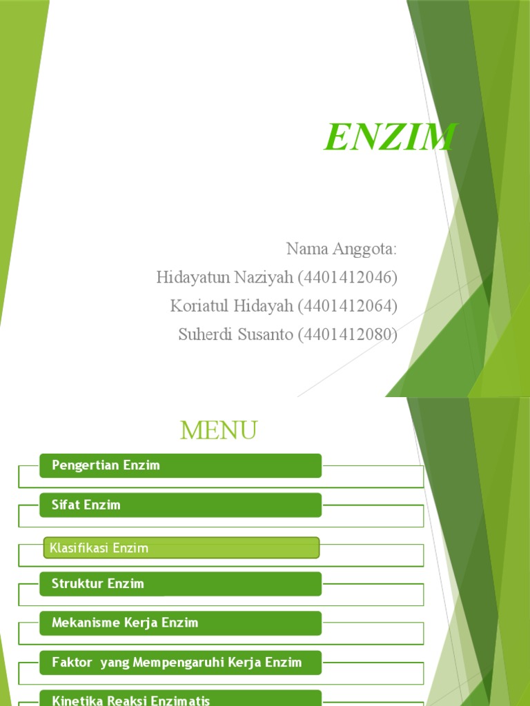 Enzim PPT | PDF