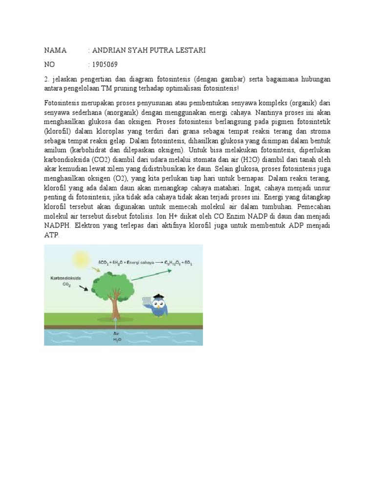 Andrian Syah Putra Lestari | PDF