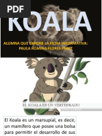 Anatomía y Fisiología de Koalas | PDF | Coala