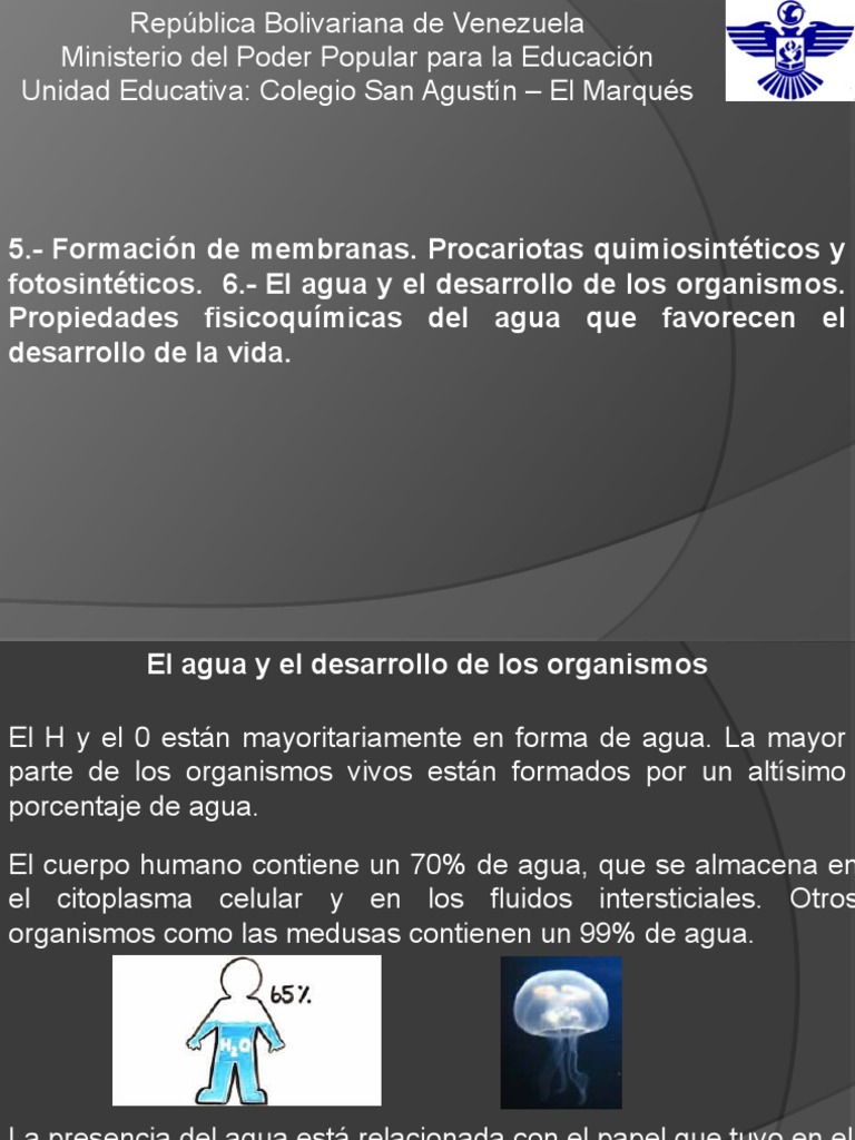 Formación de Membranas. Procariotas Quimiosintéticos y Fotosintéticos ...