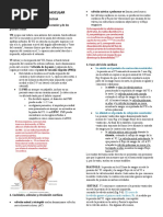 Reflejos Bainbridge 1 | PDF | Corazón | Nervio vago