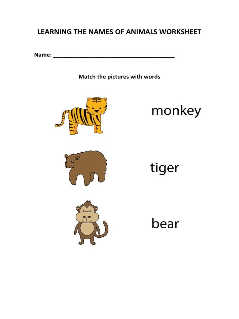 Learning The Names of Animals Worksheet | PDF