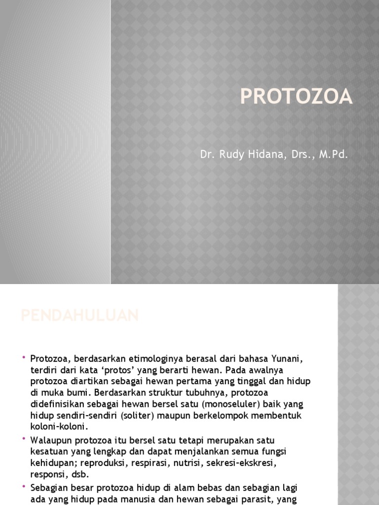 Protozoa - Usus | PDF | Ilmu Sosial | Kesehatan Holistik