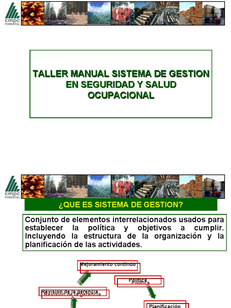 Archivos - 1345 - Taller Manual de Seguridad y Salud Ocupacional | PDF ...