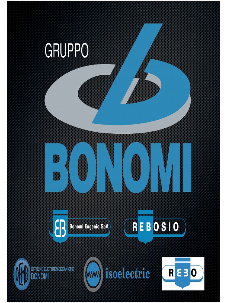 Group Bonomi 2017 Eng | PDF | Insulator (Electricity) | Electricity