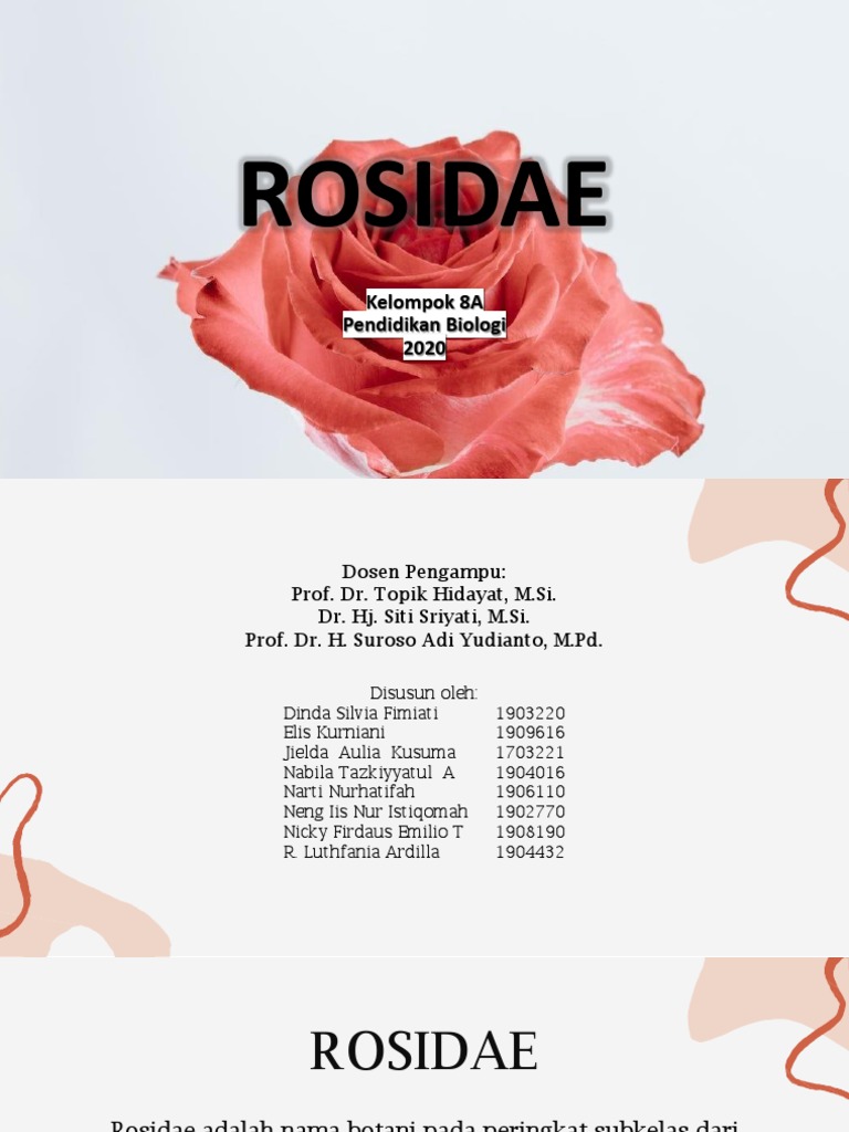 Kelompok 8A-Rosidae Revisi | PDF | Kesehatan Holistik