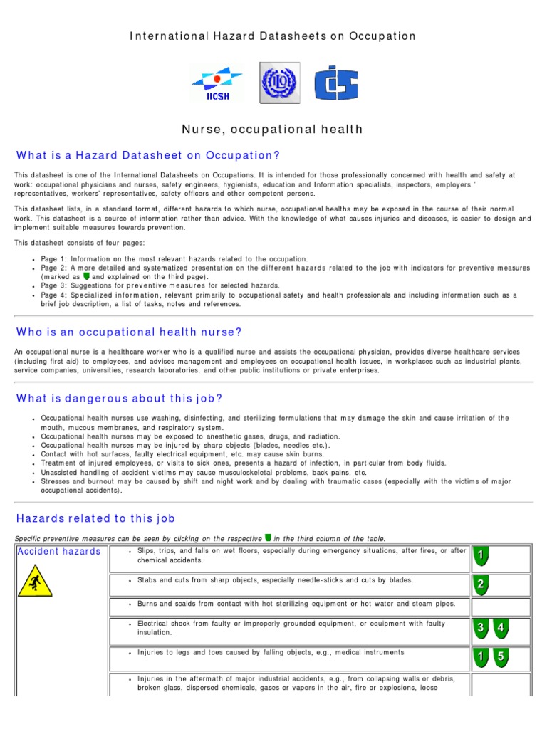 Hazard and Risk For Nurse in Hospital | PDF | Occupational Safety And ...