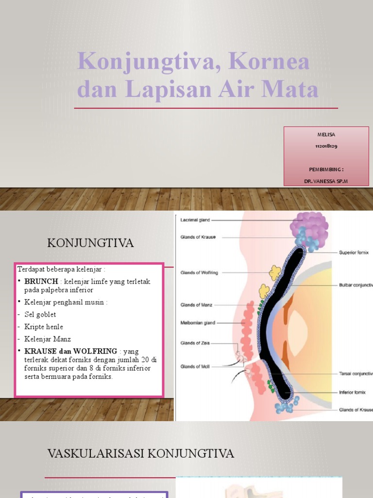 Konjungtiva, Kornea Dan Lapisan Air Mata | PDF