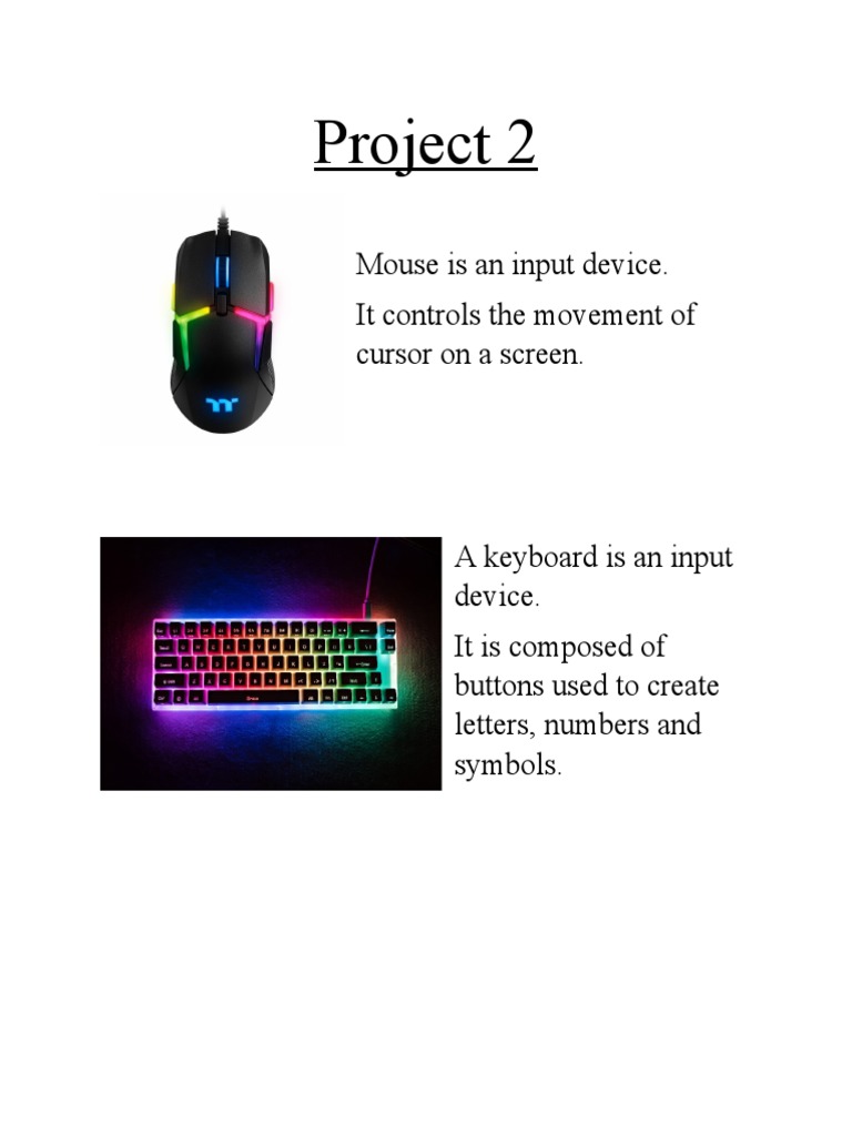 Project 2: Mouse Is An Input Device. It Controls The Movement of Cursor ...