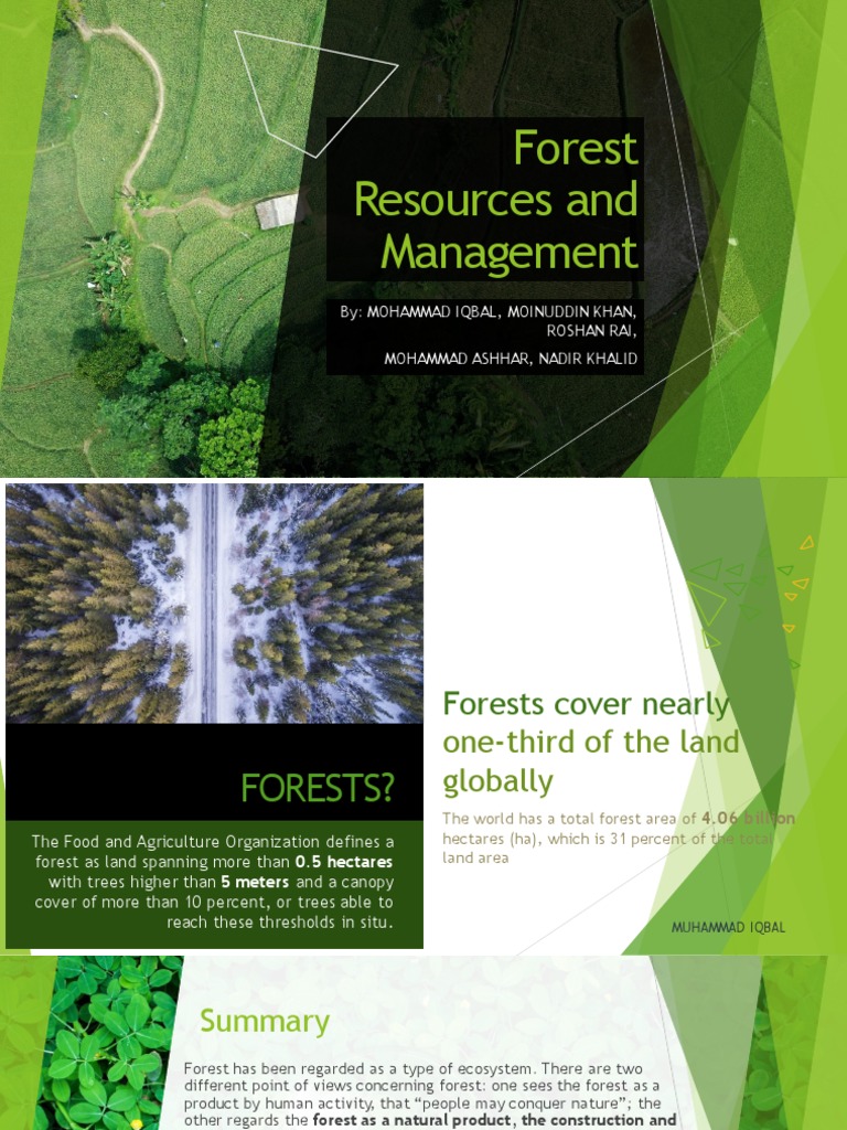 Forest Resources and Management | PDF | Forestry | Sustainability