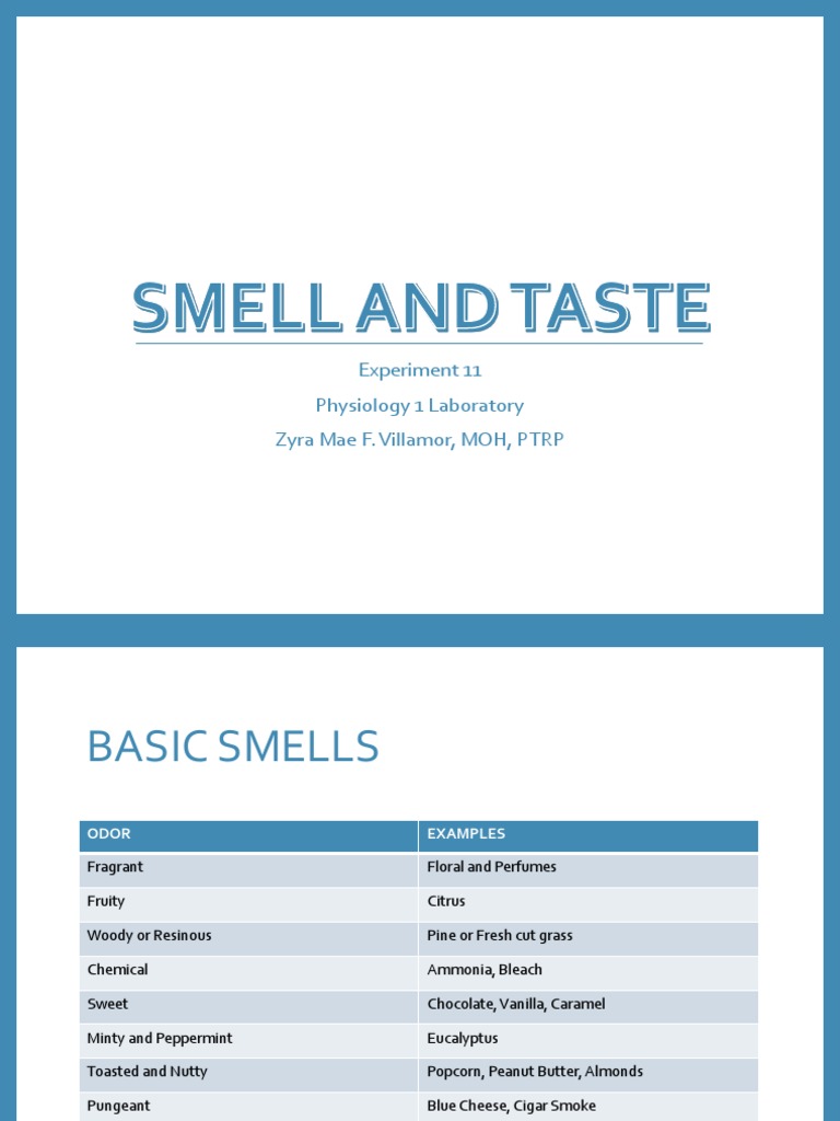 Experiment 11 - Smell and Taste | PDF | Taste | Olfactory System