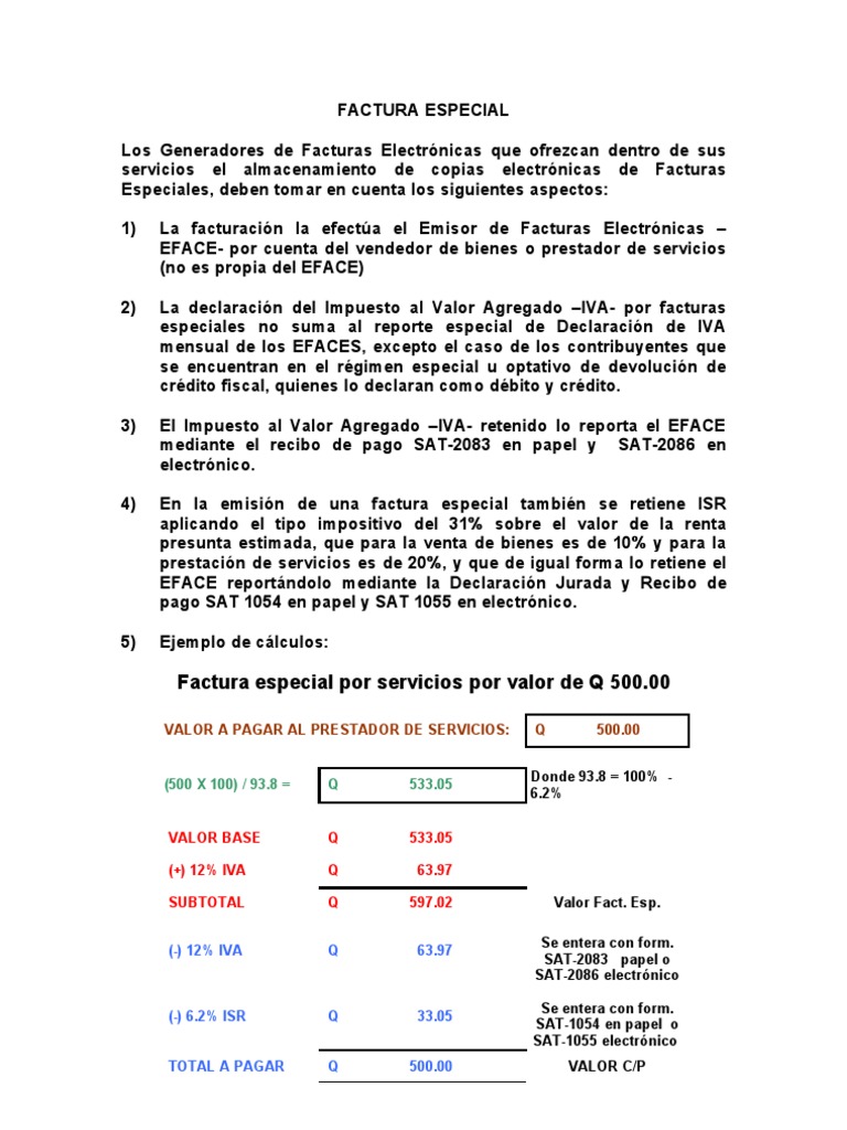 Factura Especial: Guía y Ejemplos | PDF