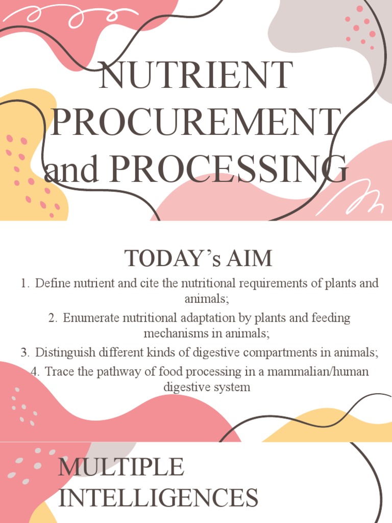 Nutrient Procurement and Processing | PDF | Animal Nutrition | Human Digestive System