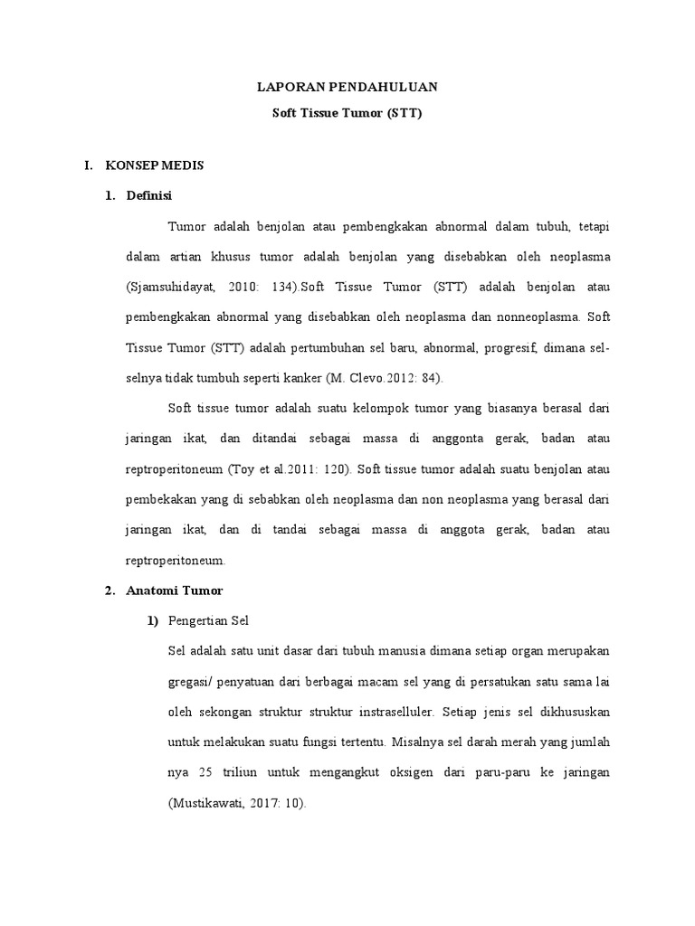 Laporan Pendahuluan STT | PDF