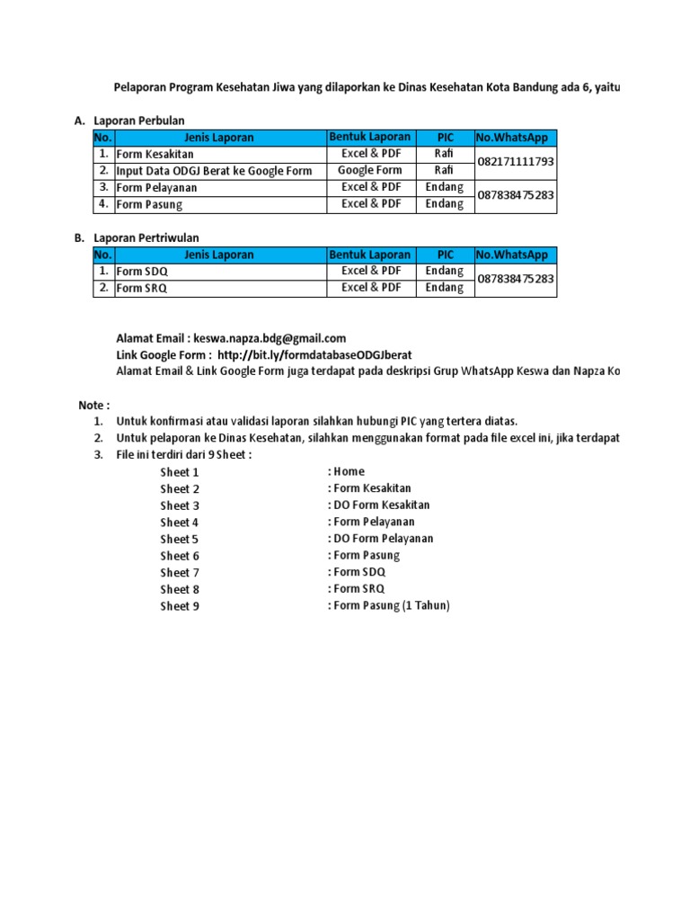 Format Laporan Keswa | PDF