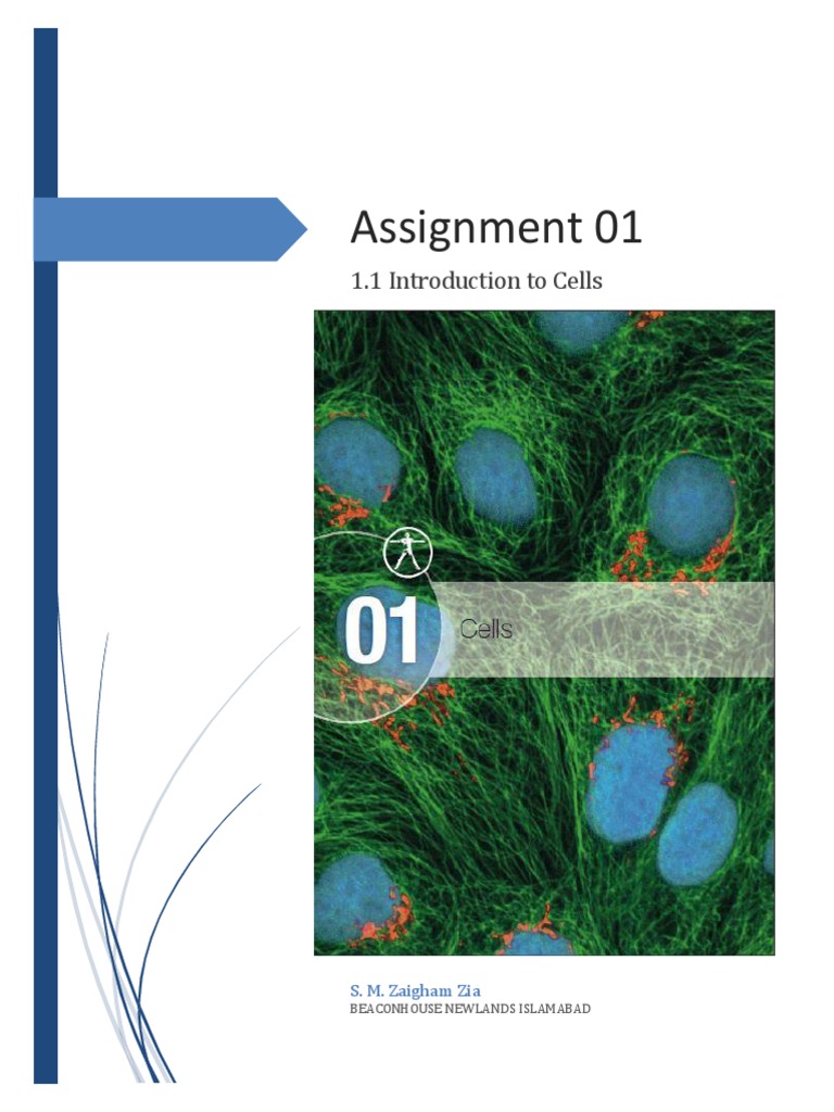 1.1 Introduction To Cells Worksheet | PDF | Cell Potency | Stem Cell