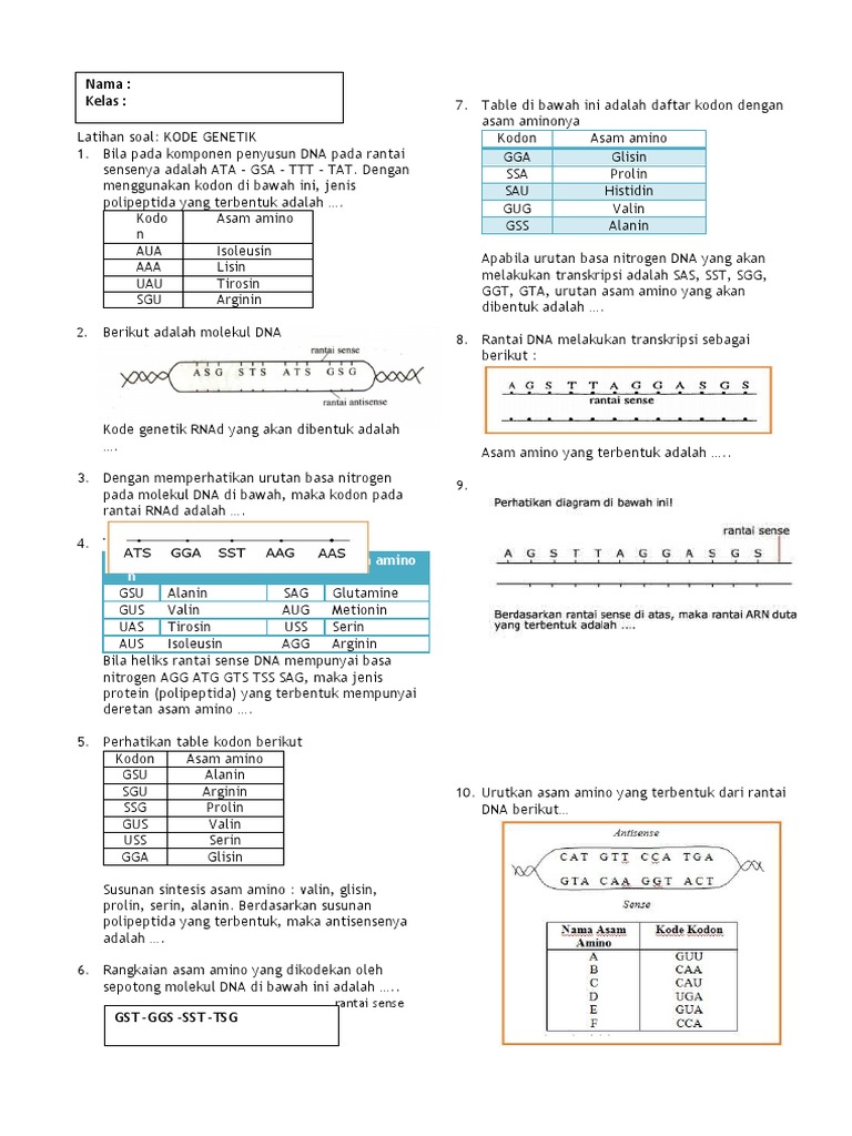 Latihan Soal Kode Genetik | PDF
