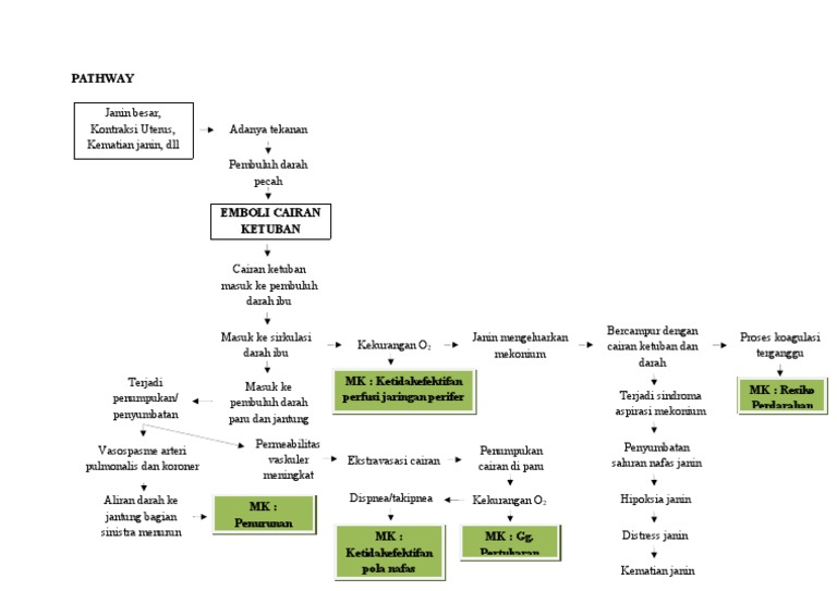 Pathway Emboli Cairan Ketuban Fix | PDF