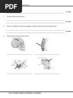 Identifying Variables Worksheet | PDF