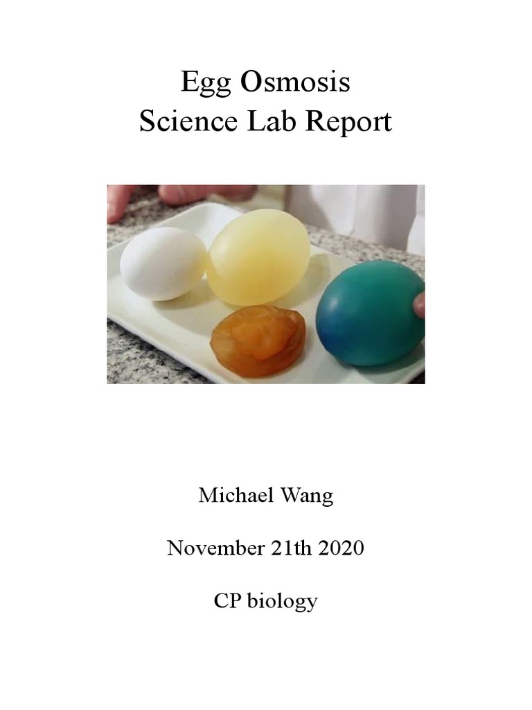 Biology1125-Egg Osmosis Lab Report | PDF | Osmosis | Membrane