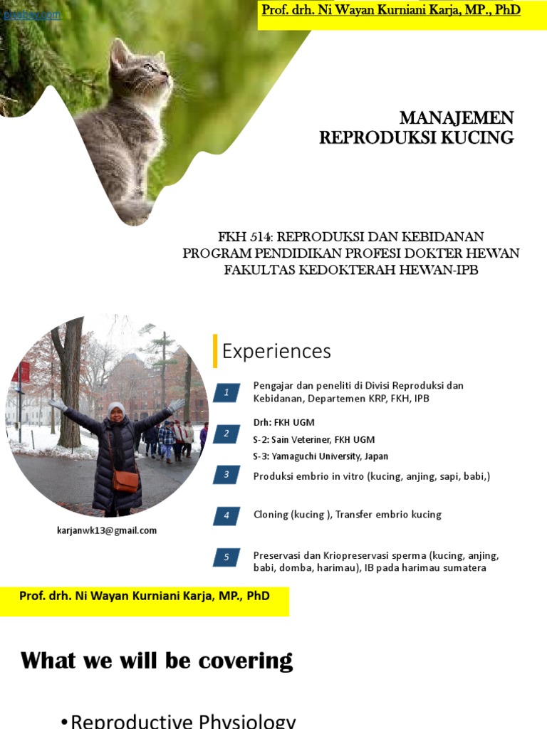 Manajeman Reproduksi kucing-FKH514 | PDF | Animal Sexuality | Human ...