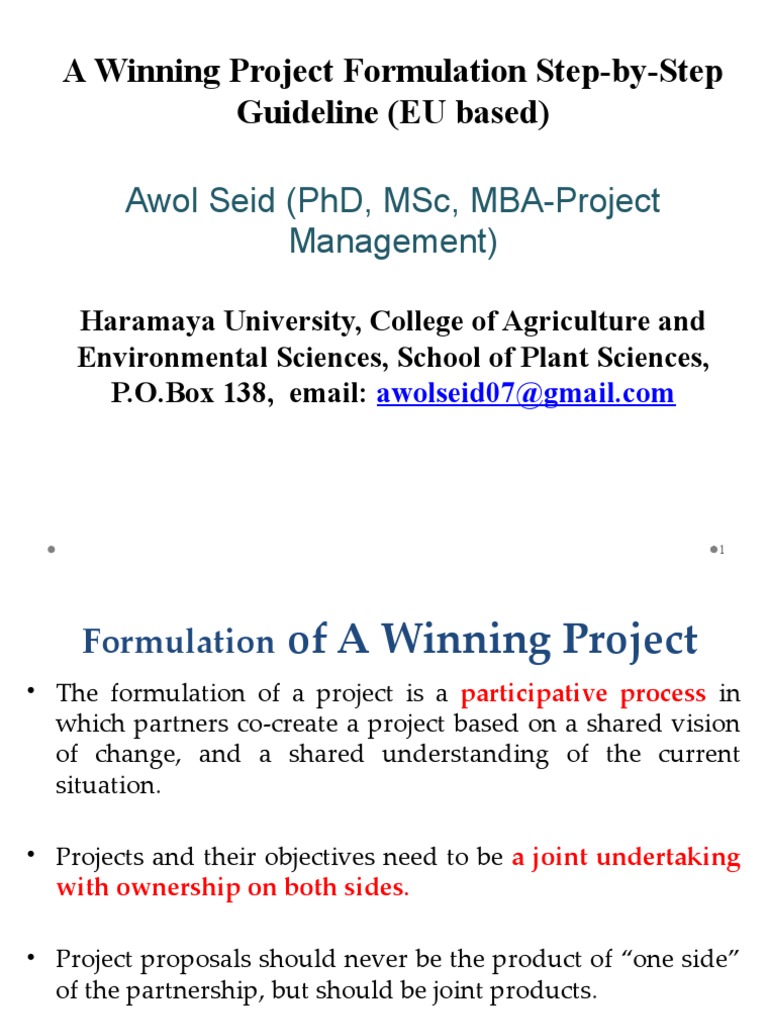 A Winning Project Formulation Step-by-Step Guideline (EU Based) | PDF ...
