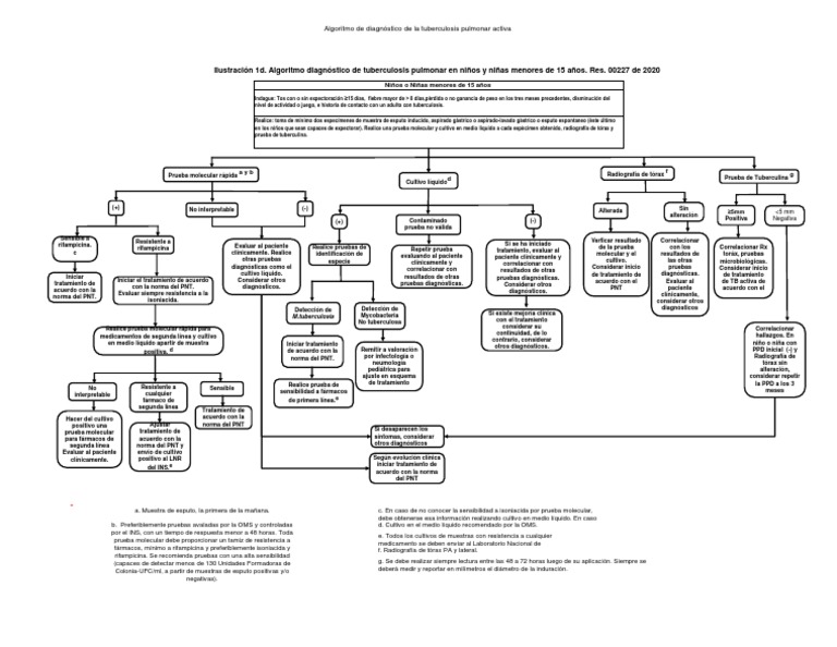 1d Algoritmo de TB Población Niños | PDF | Tuberculosis | Diagnostico ...
