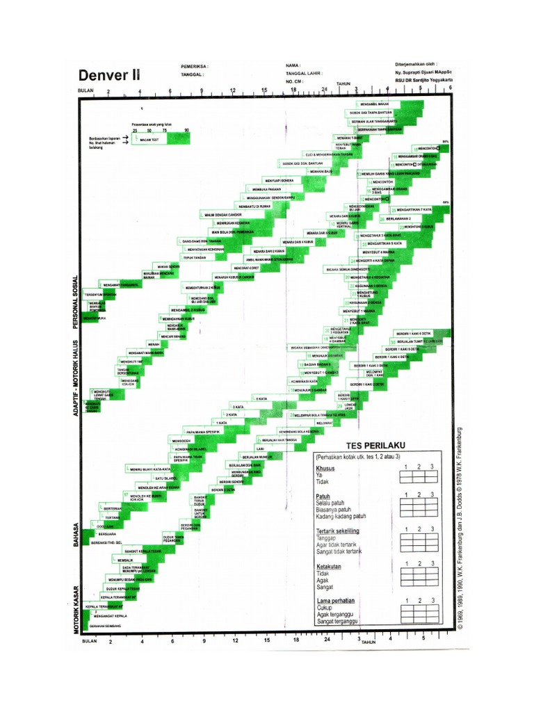 Formulir Denver Ii | PDF