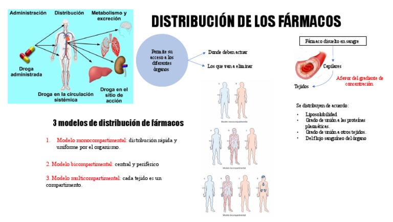 Distribución de Los Fármacos | PDF