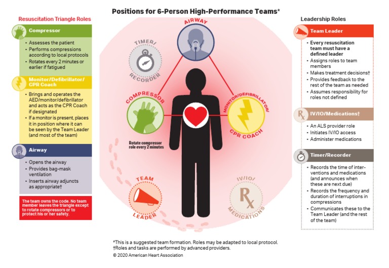 Resuscitation Triangle Roles: Compressor Team Leader | PDF ...