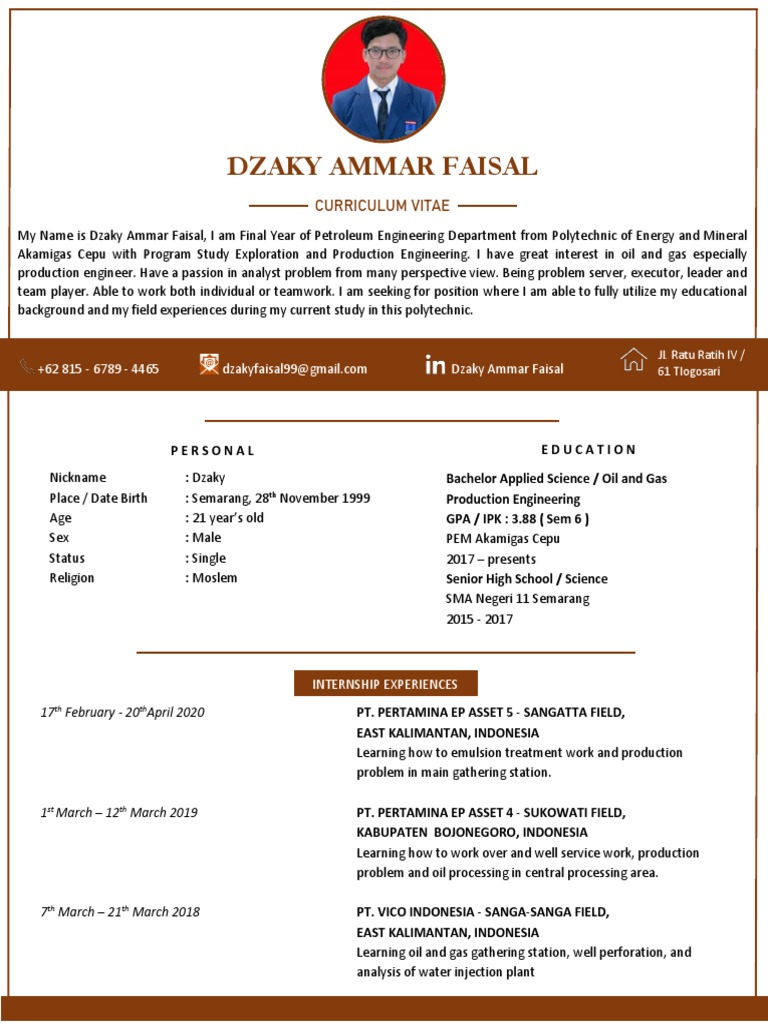CV Dzaky Ammar Faisal | PDF | Oils | Petroleum Industry