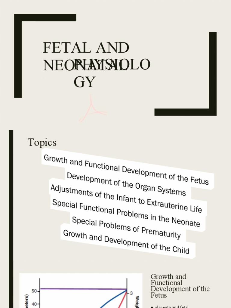 Fetal and Neonatal Physiology | Download Free PDF | Fetus | Lung