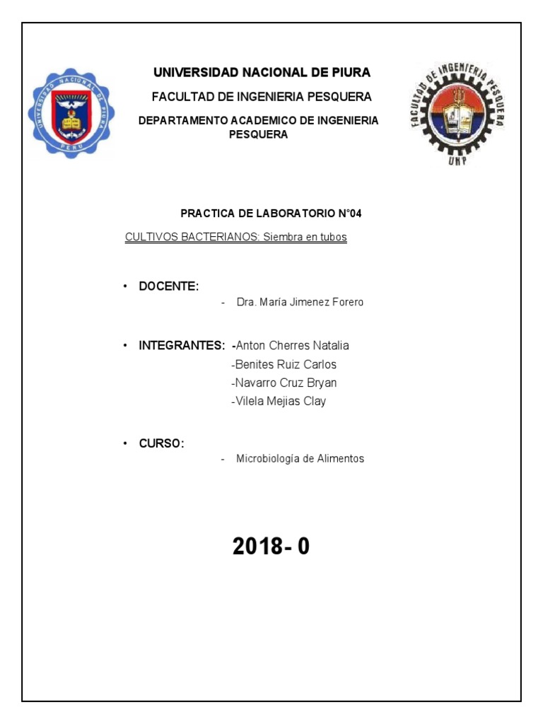 Practica N4 Laboratorio de Microbiologia Modificado | PDF | Las bacterias | Microorganismo