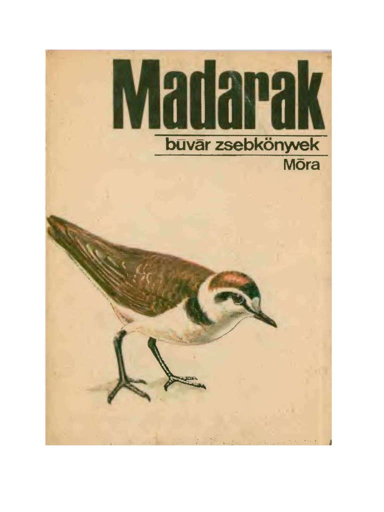 Dr. Keve András & Csépe Magdolna - Madarak | PDF