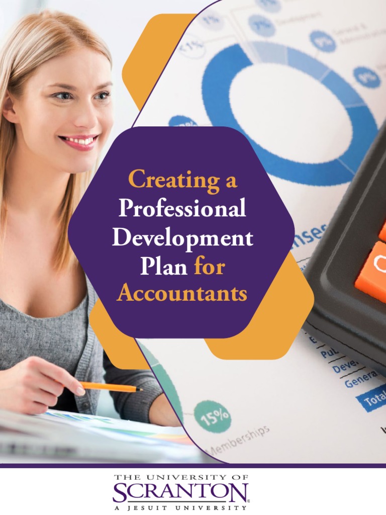 Professional Development Plan For Accountant