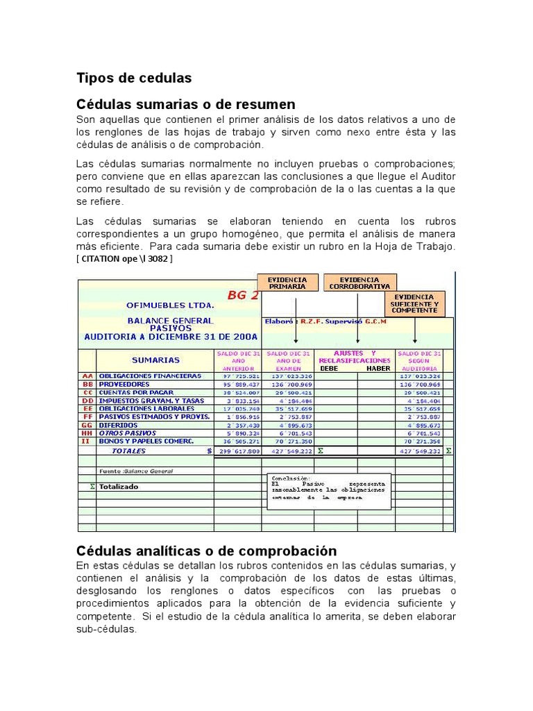 Tipos de Cedulas | PDF | Contralor | Auditoría