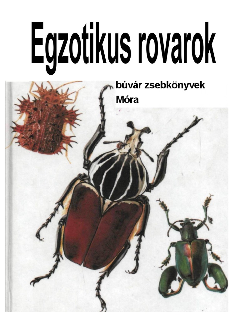 Vásárhelyi-Csiby - Egzotikus Rovarok | PDF