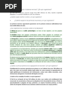 Anatomía de la Arteria Pedia del Pie | PDF | Pie | Dedo del pie