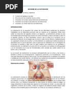 GUÍA de PROCEDIMIENTOS Control de La Diuresis | PDF | Vejiga urinaria ...